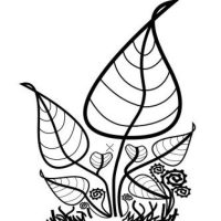 Contact – TRUE LEAF DESIGN
